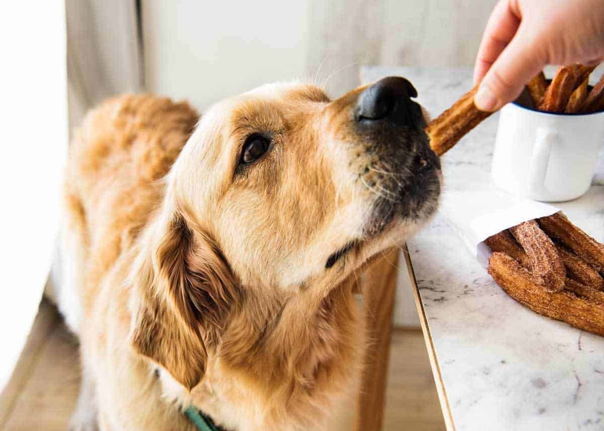 Churros Recipe - RecipeTin Eats