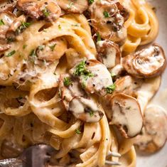 Creamy Mushroom Pasta - RecipeTin Eats