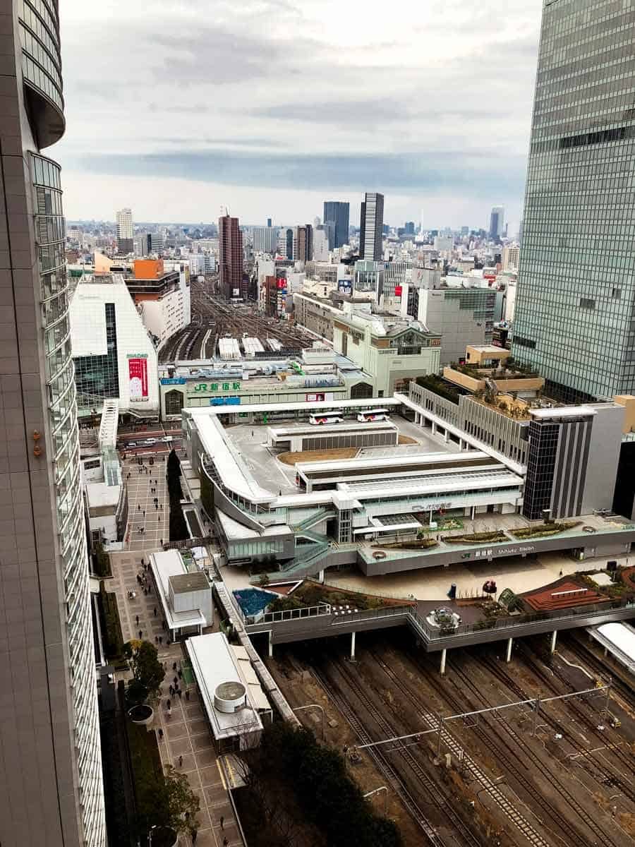 Tokyo Travel Guide: Shinjuku - RecipeTin Eats
