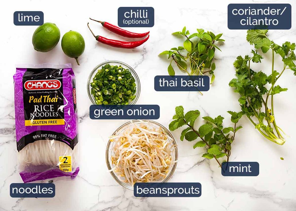 Vietnamese Chicken Pho soup (Pho Ga) - RecipeTin Eats