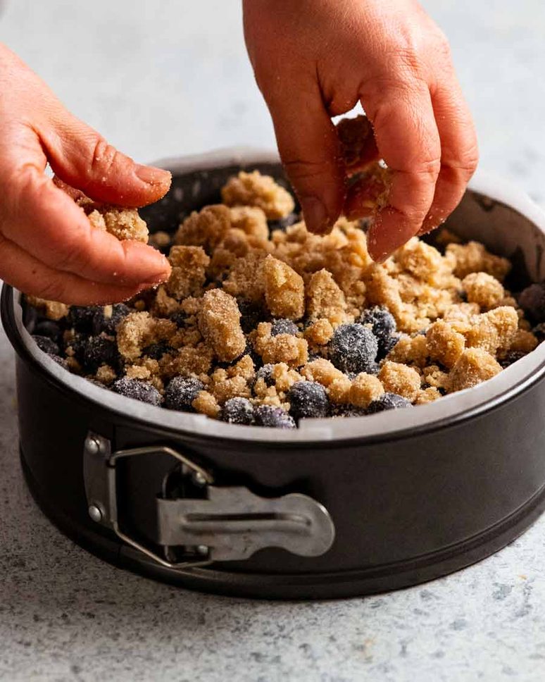 Bursting Blueberry Crumb Cake - RecipeTin Eats