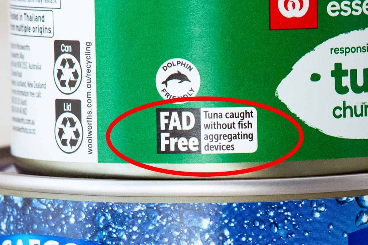 Choosing sustainable canned tuna - RecipeTin Eats