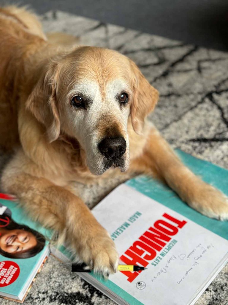 TONIGHT book tour dates are LIVE! - RecipeTin Eats