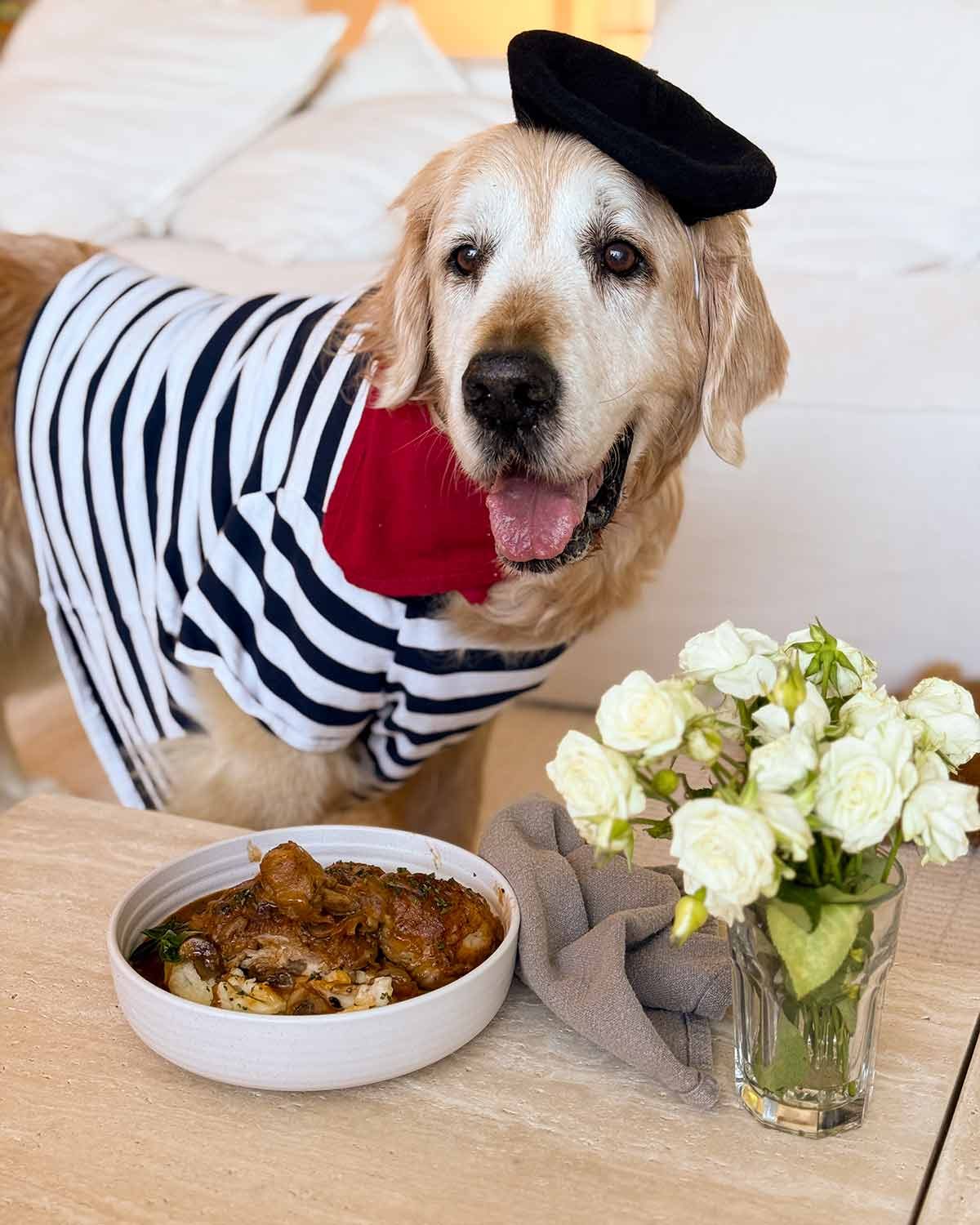 Chicken Chasseur - JB's debut recipe! - RecipeTin Eats