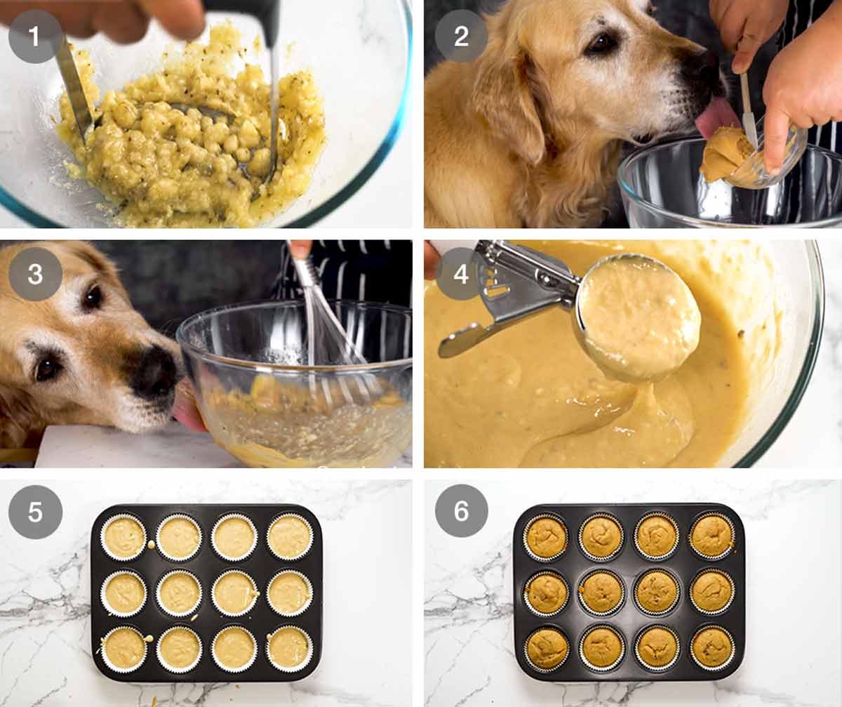 Pupcakes! (Dog cupcakes with "frosting") | RecipeTin Eats