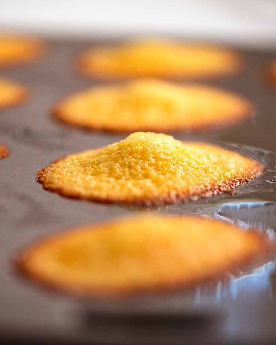 Madeleines | RecipeTin Eats