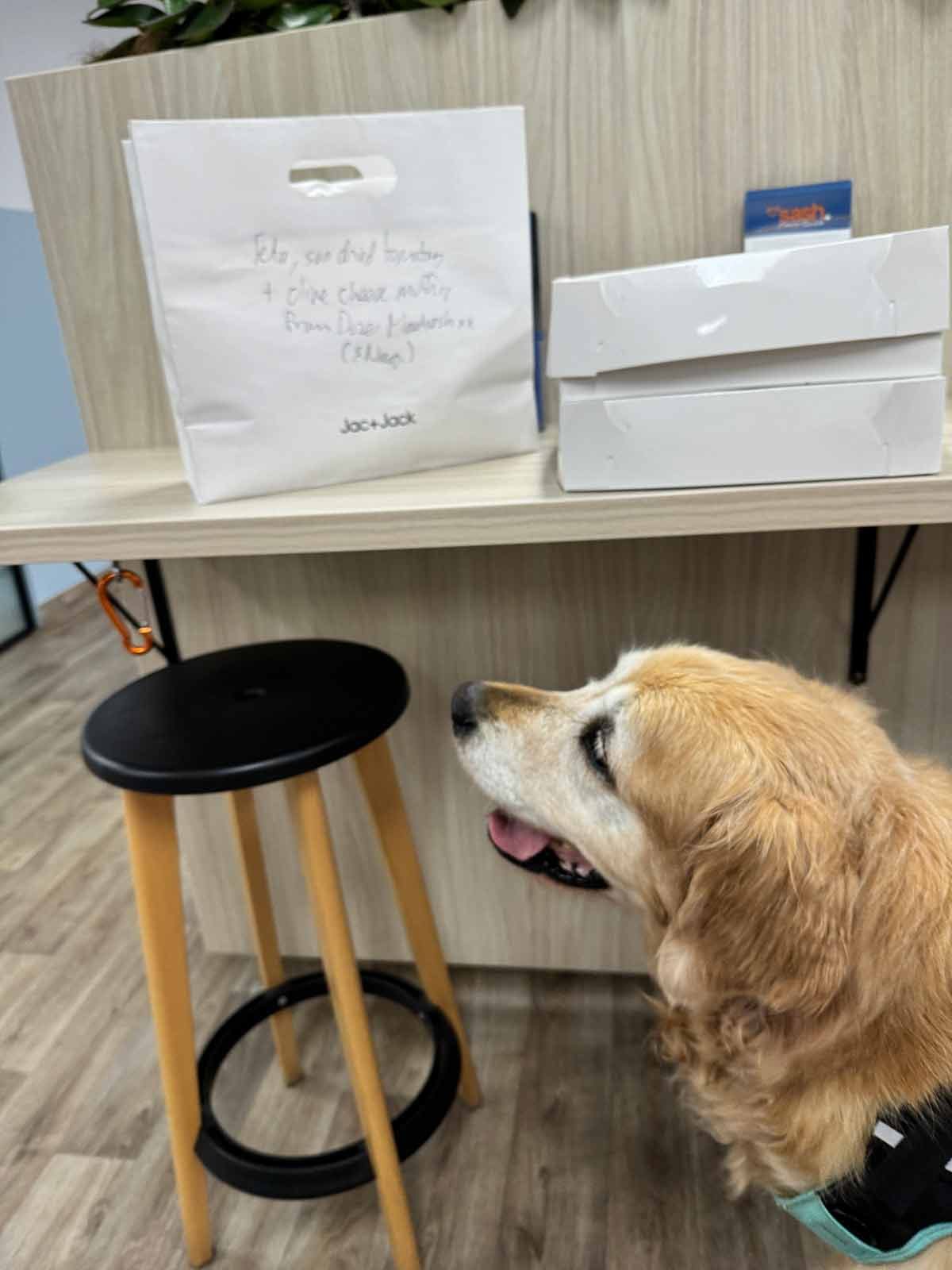 A Dozer update. | RecipeTin Eats